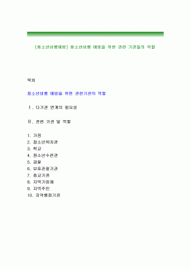 [청소년비행예방] 청소년비행 예방을 위한 관련 기관들의 역할-1페이지