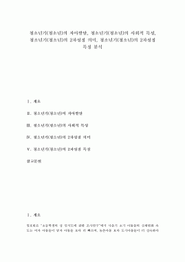 [청소년기][청소년][자아발달][사회적 특성][2차성징]청소년기(청소년)의 자아발달, 청소년기(청소년)의 사회적 특성, 청소년기(청소년)의 2차성징 의미, 청소년기(청소년)의 2차성징 특징 분석(청소년기, 청소년)-1페이지