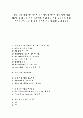 [유럽기업][기업]유럽 독일 기업 메르세데스 벤츠(다임러 벤츠), 유럽 독일 기업 BMW, 유럽 독일 기업 폭스바겐, 유럽 영국 기업 푸르덴셜, 유럽 핀란드 기업 노키아, 유럽 스위스 기업 네슬레(Nestle) 분석-1페이지