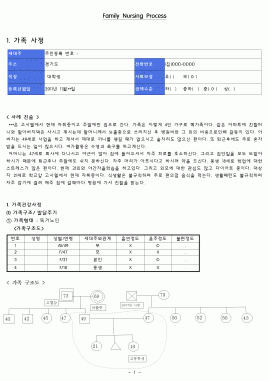 FNP 지역사회 레포트 자료-1페이지