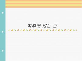 [해부생리] 척추를 움직이는 근육들-1페이지