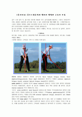 [물리치료] 골프스윙동작에 관하여 관절과 근육의 쓰임-1페이지