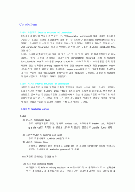 [신경해부] 소뇌와 소뇌장애-1페이지