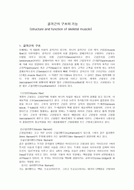 [전기치료] 골격근의 구조와 기능[structure and function of skeletal muscle]-1페이지