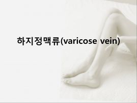 하지정맥류 varicose vein 원인 증상 및 예방 -1페이지