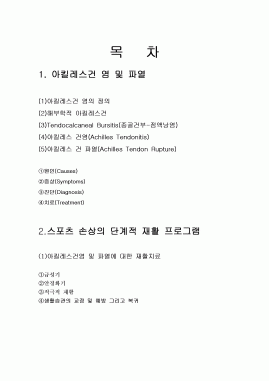 아킬레스건 염과 파열 및 재활프로그램 -1페이지