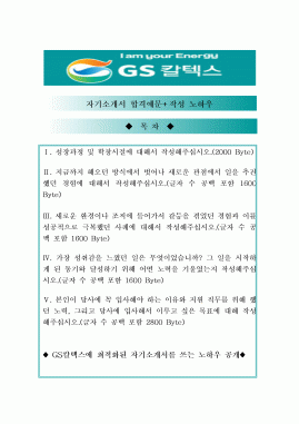 [2016최신, GS칼텍스자소서합격예문+맞춤형자기소개서전략, GS칼텍스자기소개서쓰는방법, GS칼텍스자기소개서예문+쓰는노하우, GS칼텍스채용, GS칼텍스자소서, GS칼텍스자기소개서]-1페이지