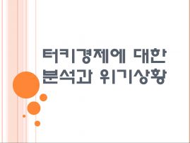 [터키시장] 터키경제에 대한 분석과 위기상황 PPT자료-1페이지