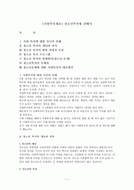 [사회복지개론] 청소년복지에 관해서-1페이지