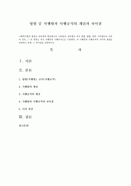 명령 중 시행령과 시행규칙의 개념과 차이점 - 명령과 규칙, 나의 의견포함-1페이지