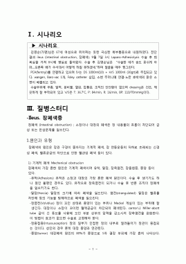 장폐색(intestinal obstruction) 간호과정 보고서 -1페이지