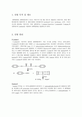 화학루미놀 레포트 자료-1페이지