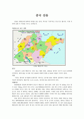 중국 산동 레포트 자료-1페이지
