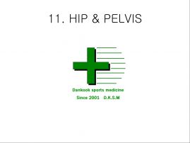 HIP & PELVIS 레포트 자료-1페이지