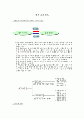 압전 세라믹스-1페이지