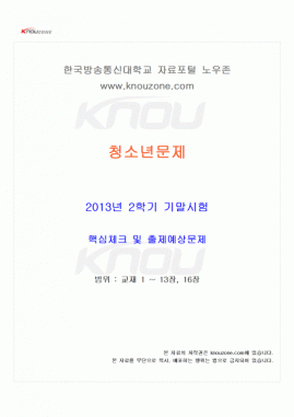2013년 2학기 청소년문제 기말시험 핵심체크-1페이지