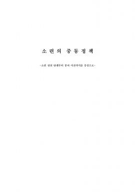 소련의  중동 정책 -소련 정권 탄생부터 붕괴 이전까지를 중심으로--1페이지