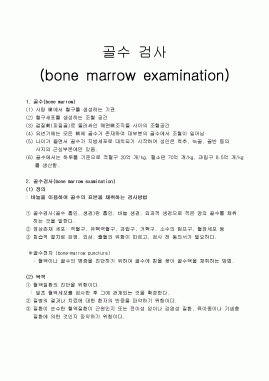 골수검사 (bone marrow examination) -1페이지