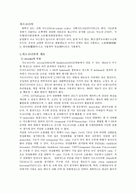 지르코니아 레포트 자료-1페이지