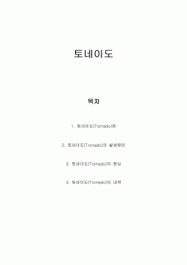 토네이도 레포트 자료-1페이지