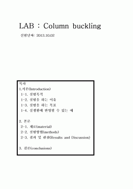 Column buckling 레포트 자료-1페이지