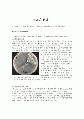 1030_화수목금_세균의 분리-1~4-1페이지
