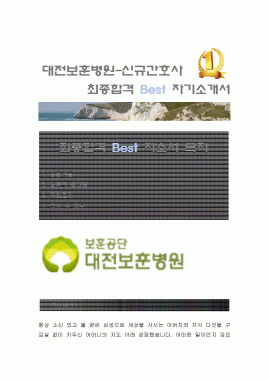 대전보훈병원 합격자소서[신규간호사 합격자] 대전보훈병원 자기소개서,대전보훈병원 자소서,대전보훈병원 채용정보, 대전보훈병원-1페이지