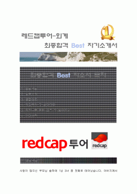 레드캡투어 합격자소서[회계 합격자] 레드캡투어 자기소개서,레드캡투어 자소서,레드캡투어 채용정보, 레드캡투어-1페이지