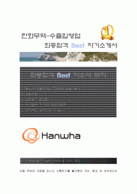 한화무역 합격자소서[수출입영업 합격자] 한화무역 자기소개서,한화무역 자소서,한화무역 채용정보, 한화무역-1페이지