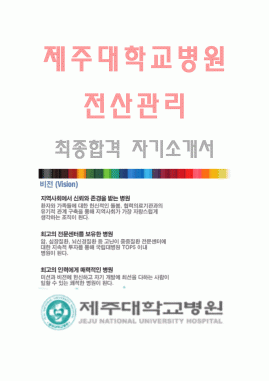 제주대학교병원(전산관리-최종합격자) 제주대학교병원 자기소개서,제주대학교병원 자소서,제주대학교병원 채용정보-1페이지