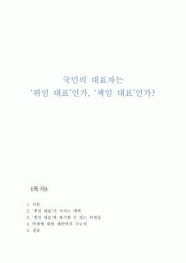 국민의 대표자는 어떤 성격을 가지는가 - ‘위임 대표’인가, ‘책임 대표’인가? (책임 대표가 가지는 매력, 책임 대표에 제기할 수 있는 비판들, 비판에 대한 재반박의 가능성)-1페이지
