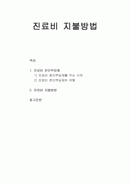 진료비 본인부담제 및 진료비 지불방법-1페이지