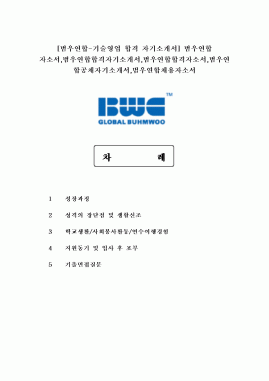 [범우연합-기술영업 합격 자기소개서] 범우연합 자소서, 범우연합 합격 자기소개서,범우연합합격자소서,범우연합공채자기소개서,범우연합채용자소서-1페이지