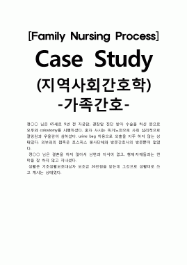 [지역사회간호학][가족간호][Family Nursing Process] 케이스 스터디(Case Study), 가족진단-1페이지