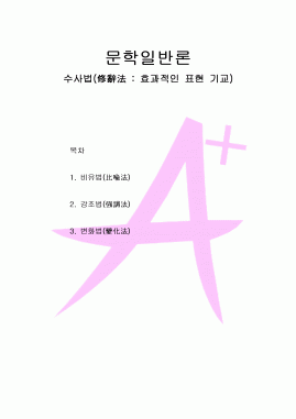 문학일반론 - 수사법(修辭法 효과적인 표현 기교 - 비유법, 강조법, 변화법)-1페이지