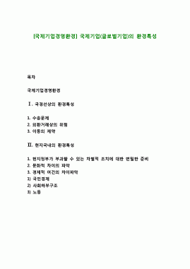 [국제기업경영환경] 국제기업(글로벌기업)의 환경특성 (국경선상의 환경특성, 현지국내의 환경특성)-1페이지