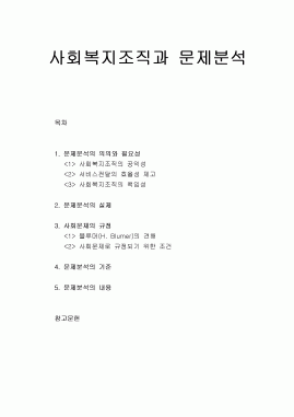 [사회복지행정론] 사회복지조직과 문제분석 - 문제분석의 의의와 필요성, 문제분석의 실제, 사회문제의 규정, 문제분석의 기준과 내용-1페이지
