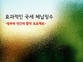 [체납 징수 방안] 체납액의 현황과 원인, 징수의 문제점 및 효과적인 국세 체납징수 방안-1페이지