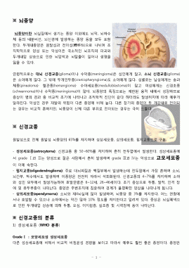 뇌종양 (교모세포종, Glioblastoma)-1페이지