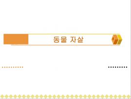 동물의 자살에 대해서-1페이지