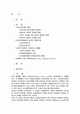 [분자세포 생물학] 유전자 발현의 조절에 관하여 (유전자조절, 전사단계에서의 유전자 발현조절, 유전자 발현이 조절되는 단계들, 총괄적 조절 단백질(Master gene regulatory protein))-1페이지