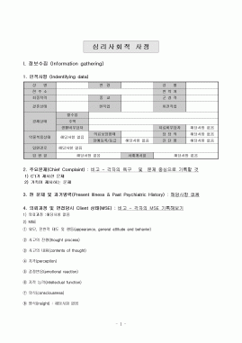심리사회적사정 양식 (심리사회모델, 개인사정, 심리사회사정양식, 사회복지실천기술론)-1페이지
