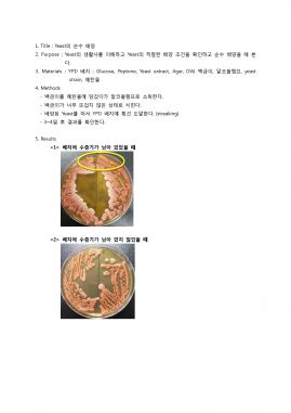 생물학 실험 -동물의 발생-1페이지