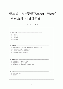 [현대사회와 윤리경영]글로벌기업-구글, 3차원 길거리 사진서비스, Street View 서비스의 사생활침해-1페이지