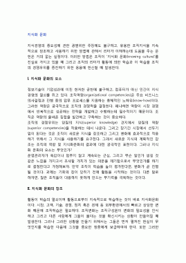 [지식화문화]지식화 문화의 요소와 창조-1페이지