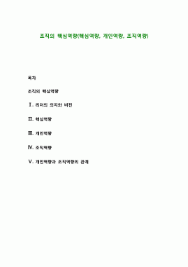 조직의 핵심역량 (리더의 의지와 비전, 핵심역량, 개인역량, 조직역량, 개인역량과 조직역량의 관계)-1페이지