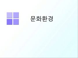 문화환경 (문화 마케팅, 물질문화, 언어 차이, 종교).PPT자료-1페이지