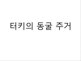 <터키의 동굴 주거> 동굴 주거의 형성 배경, 다양한 동굴 집의 모습, 주거문화.ppt
-1페이지