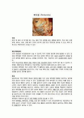 ICU 에서 주로 쓰이는 진단명, 약물, 기계에 관하여 (복막염 (Peritonitis), 호흡 부전증(Respiratory failure), 급성 심장 마비 (Sudden Cardiac arrest), 실습지(ICU) 대표 약물, ventilator, ventilator의 Mode)-1페이지