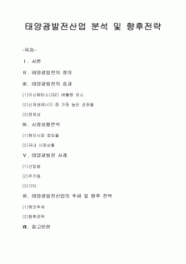 태양광발전산업 분석 및 향후전략(2014년 08월 업데이트)-1페이지